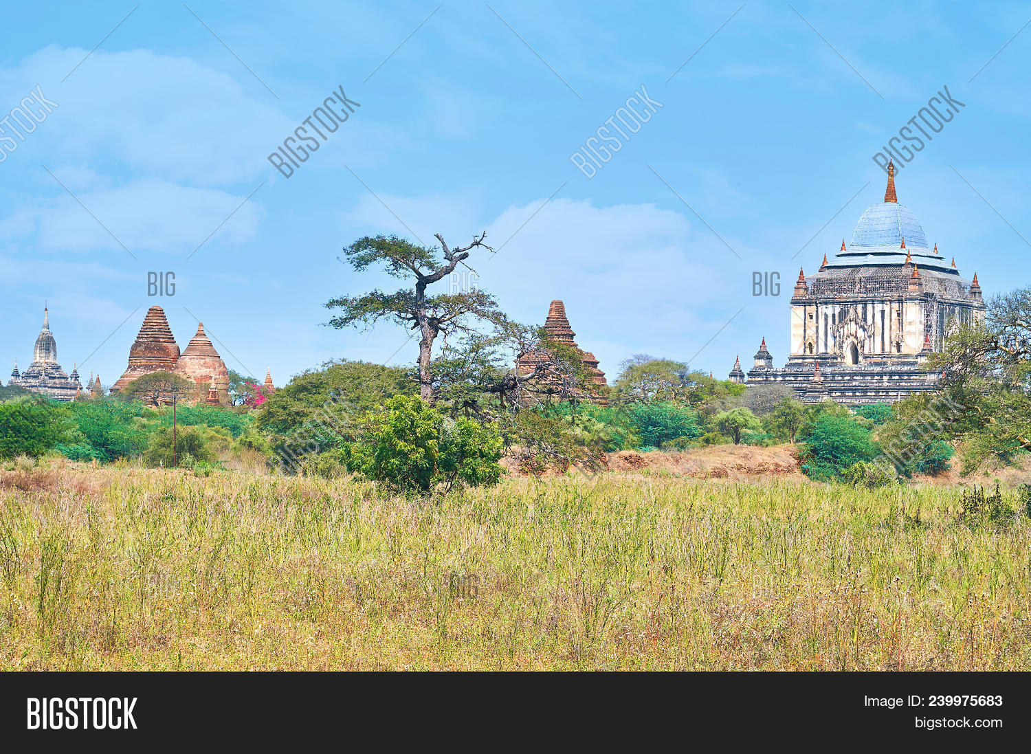 Landscape Bagan Image & Photo (Free Trial) | Bigstock