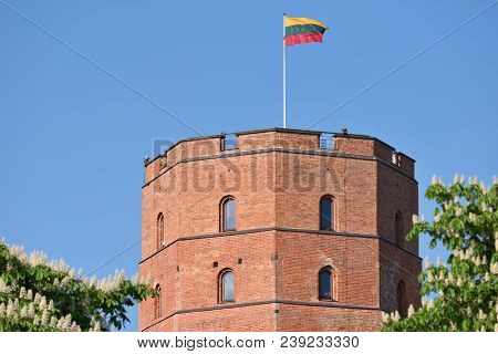Tower Gediminas, Image & Photo (Free Trial) | Bigstock
