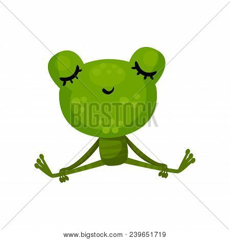 Calm Frog Sitting Vector & Photo (Free Trial) | Bigstock