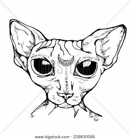 Black White Vector & Photo (Free Trial) | Bigstock
