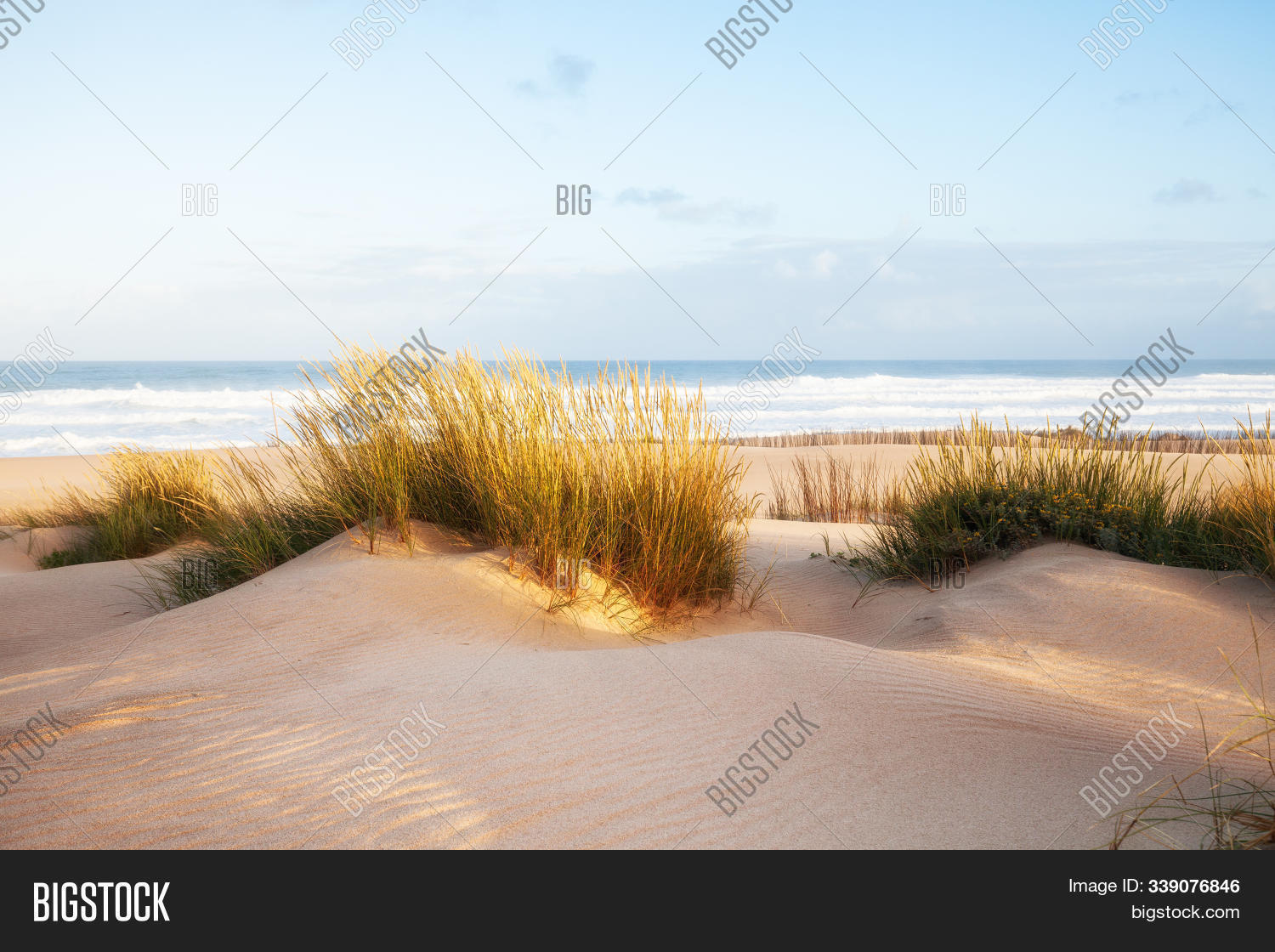 Sand Dune Ocean