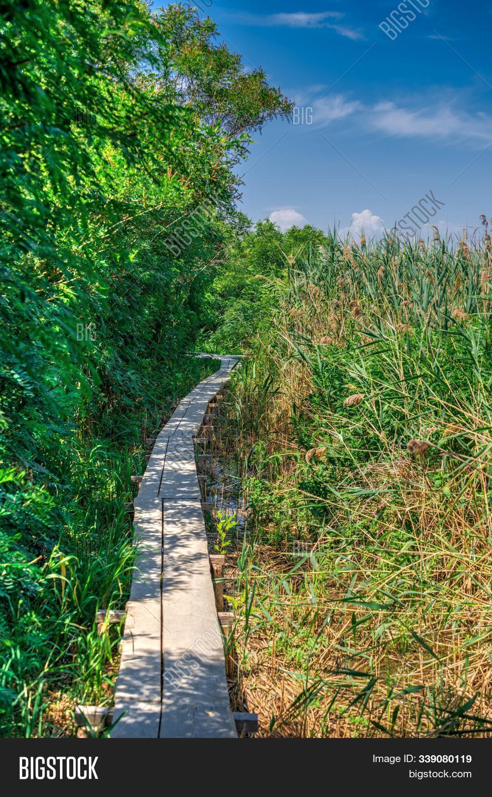 Danube Delta Zero Image & Photo (Free Trial) | Bigstock