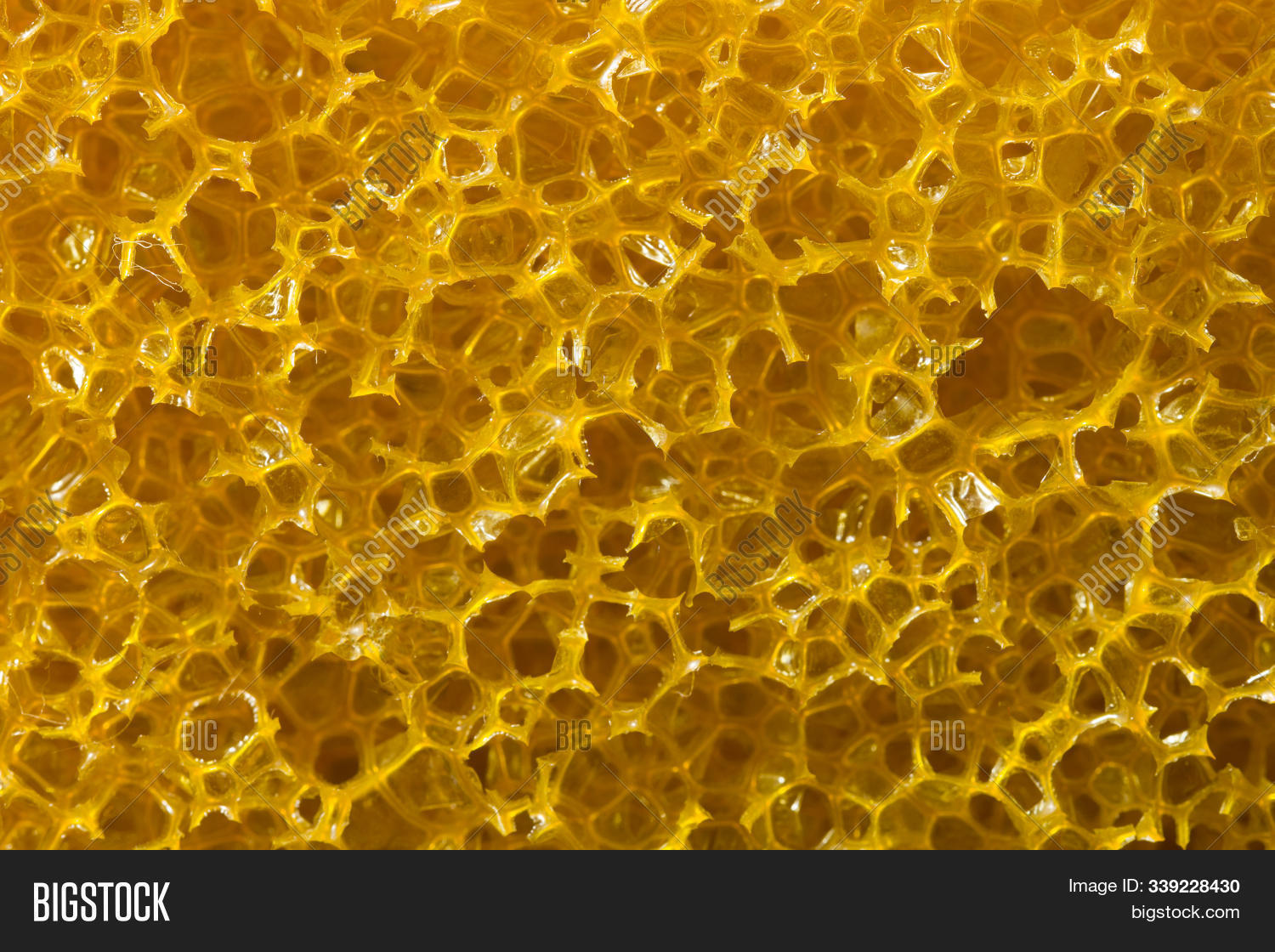 Abstract Yellow Sponge Image & Photo (Free Trial) | Bigstock