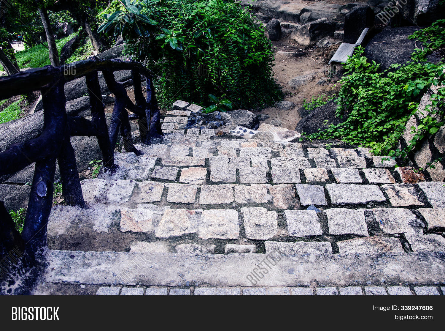 Old Stone Stairs Park Image & Photo (Free Trial) | Bigstock