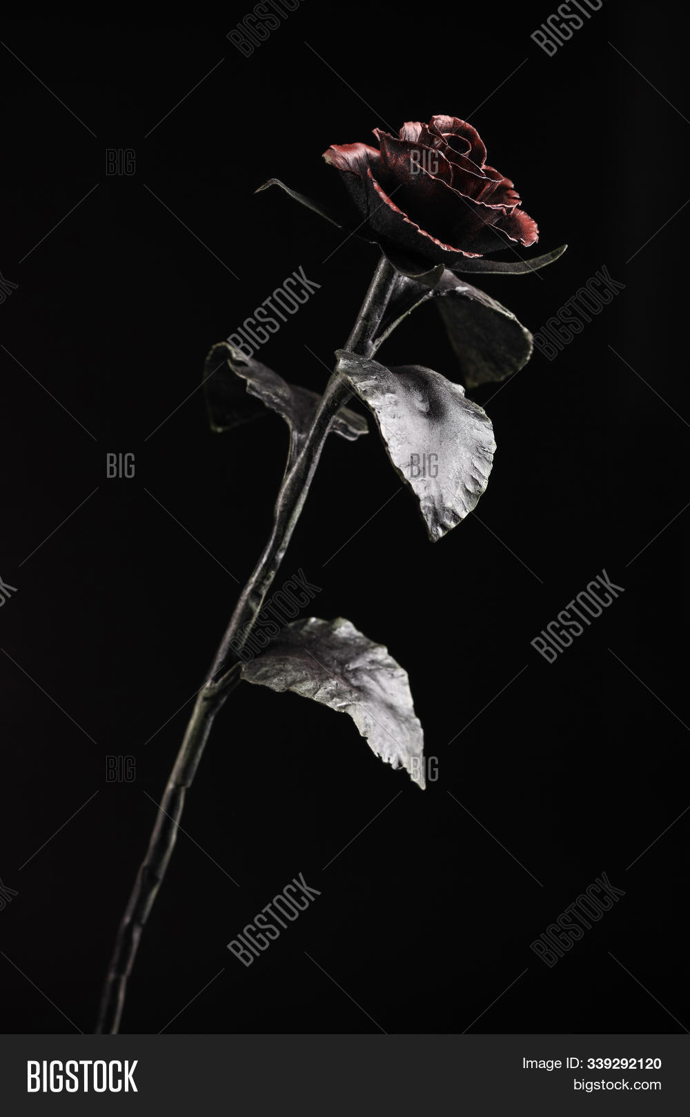 Fine Rose Red Blossom Image & Photo (Free Trial) | Bigstock