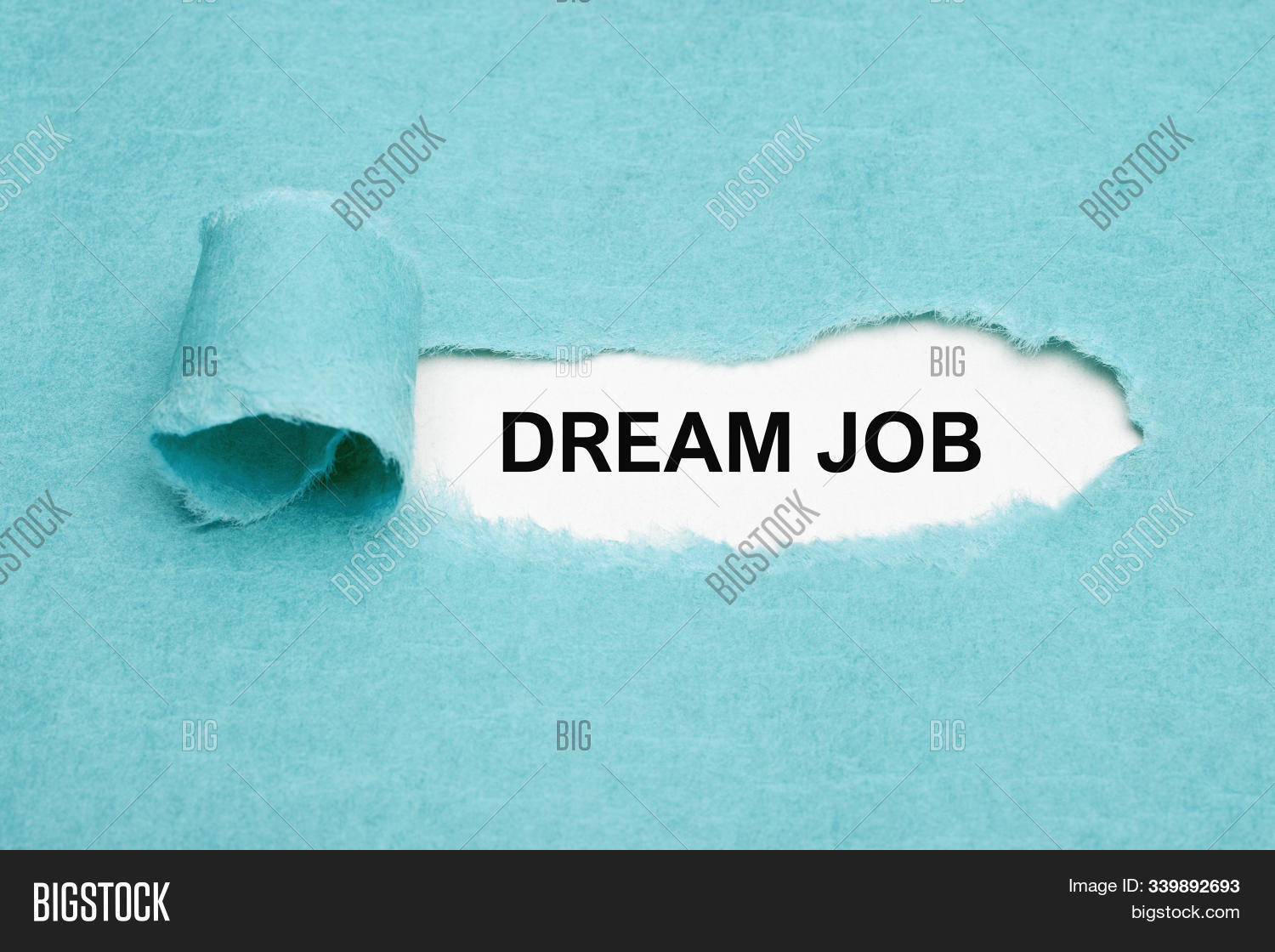 Printed Text Dream Job Image & Photo (Free Trial) | Bigstock