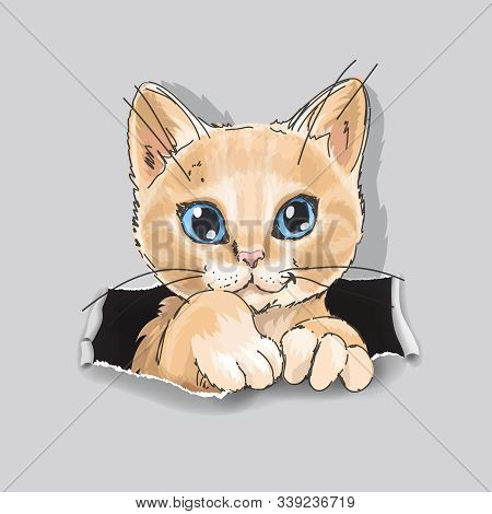 Cute Cat Ripped Paper Vector & Photo (Free Trial) | Bigstock