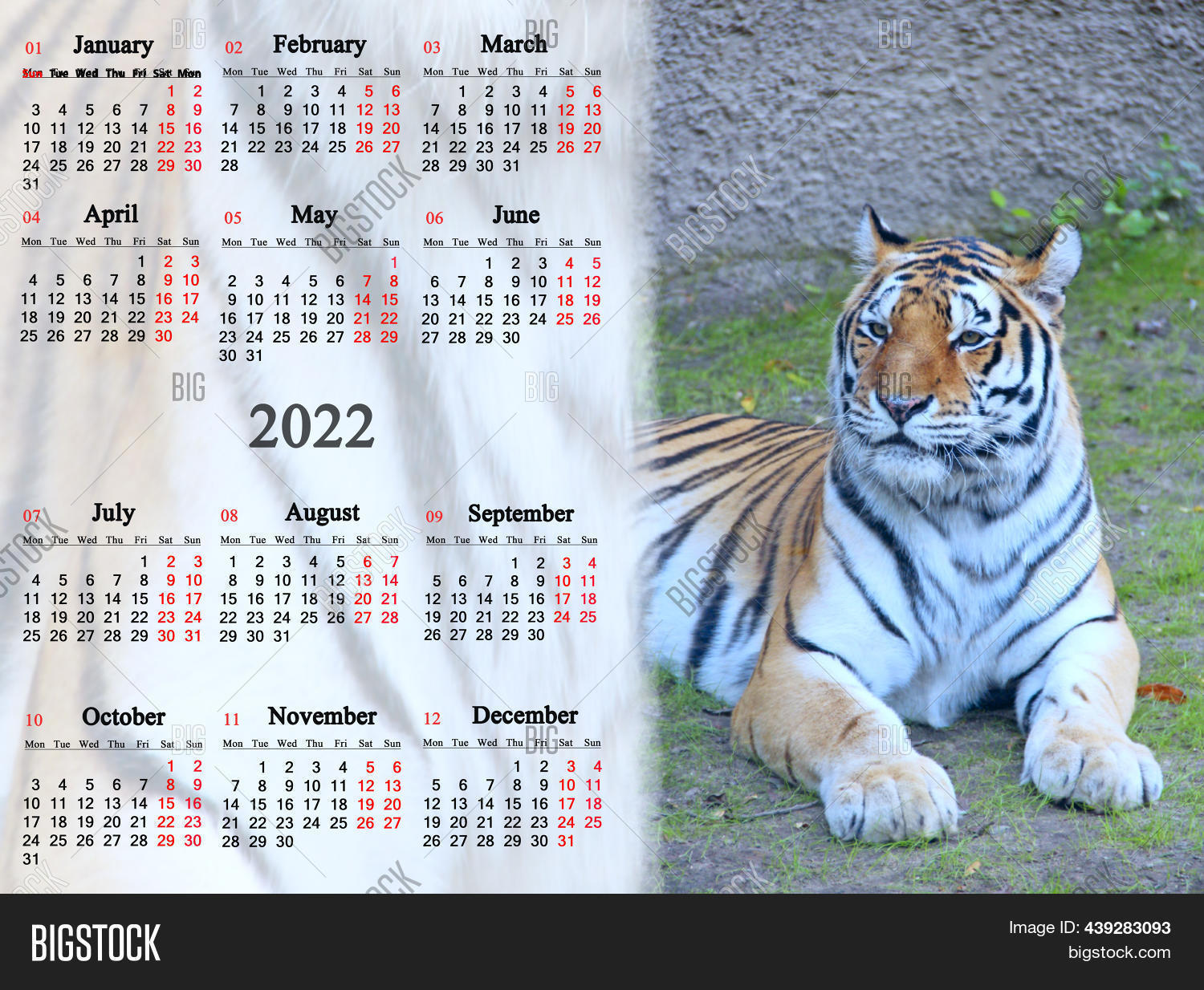 Calendar 2022 Image Image & Photo (Free Trial) | Bigstock