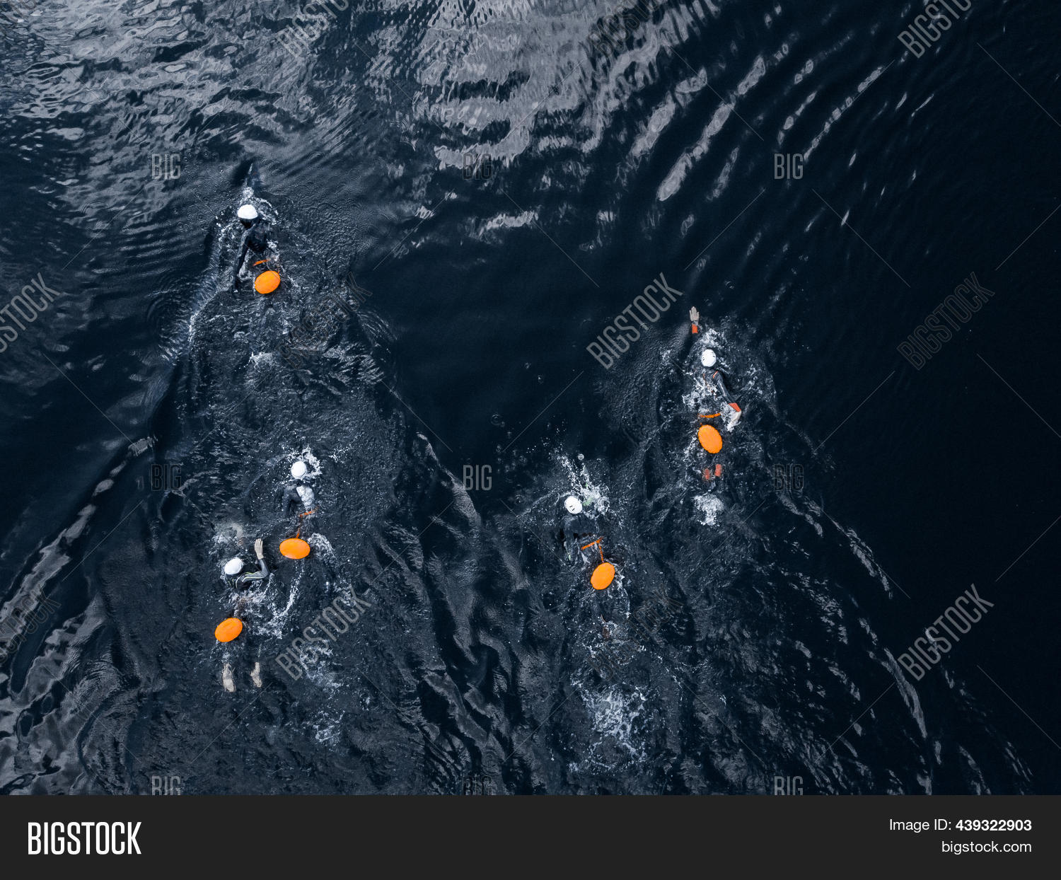 Arctic People Swim Ice Image & Photo (Free Trial) | Bigstock