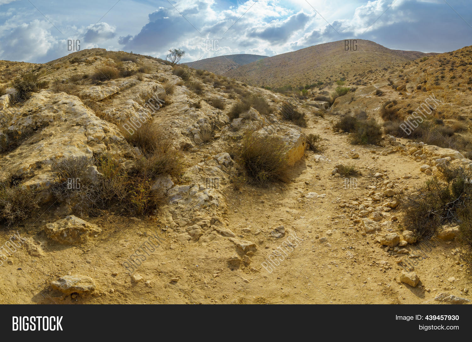 View Wadi (desert Image & Photo (Free Trial) | Bigstock