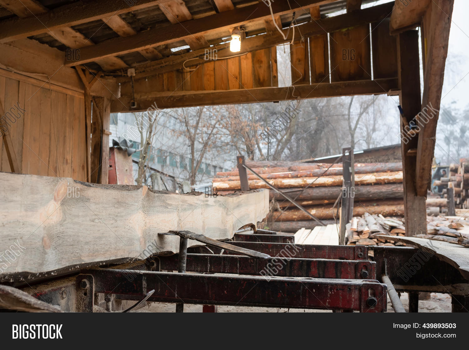 Sawmill Cutting Log Image & Photo (Free Trial) | Bigstock