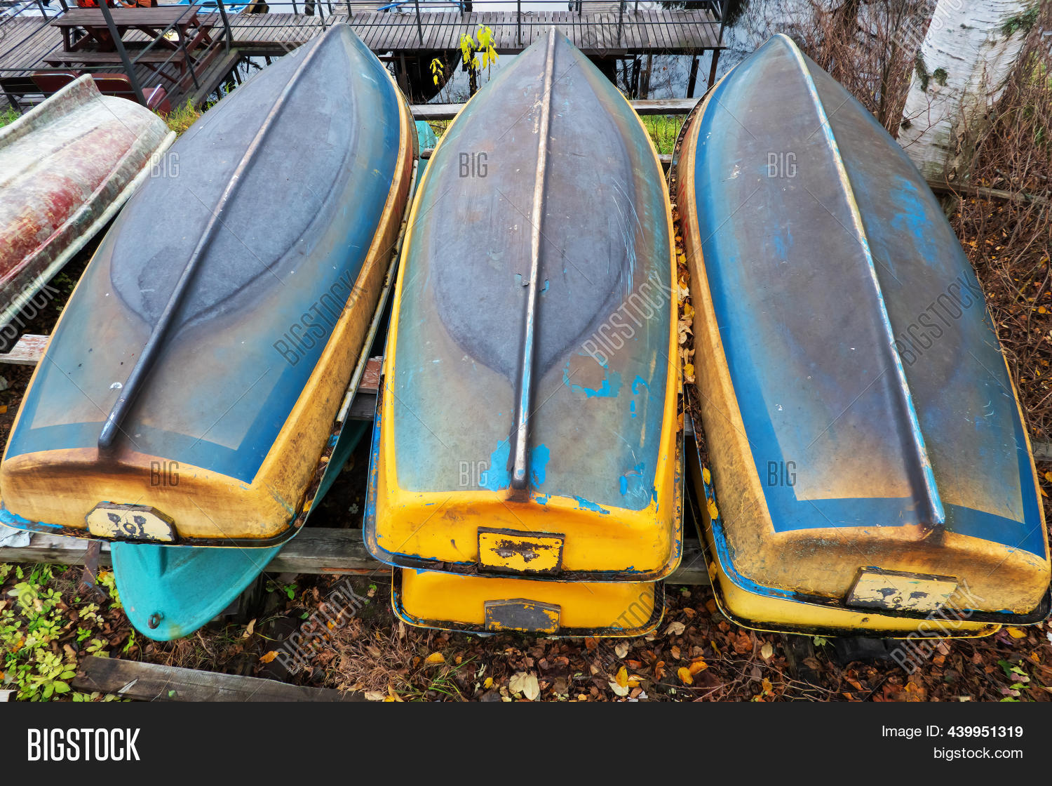 Several Old Rowing Image & Photo (Free Trial) | Bigstock