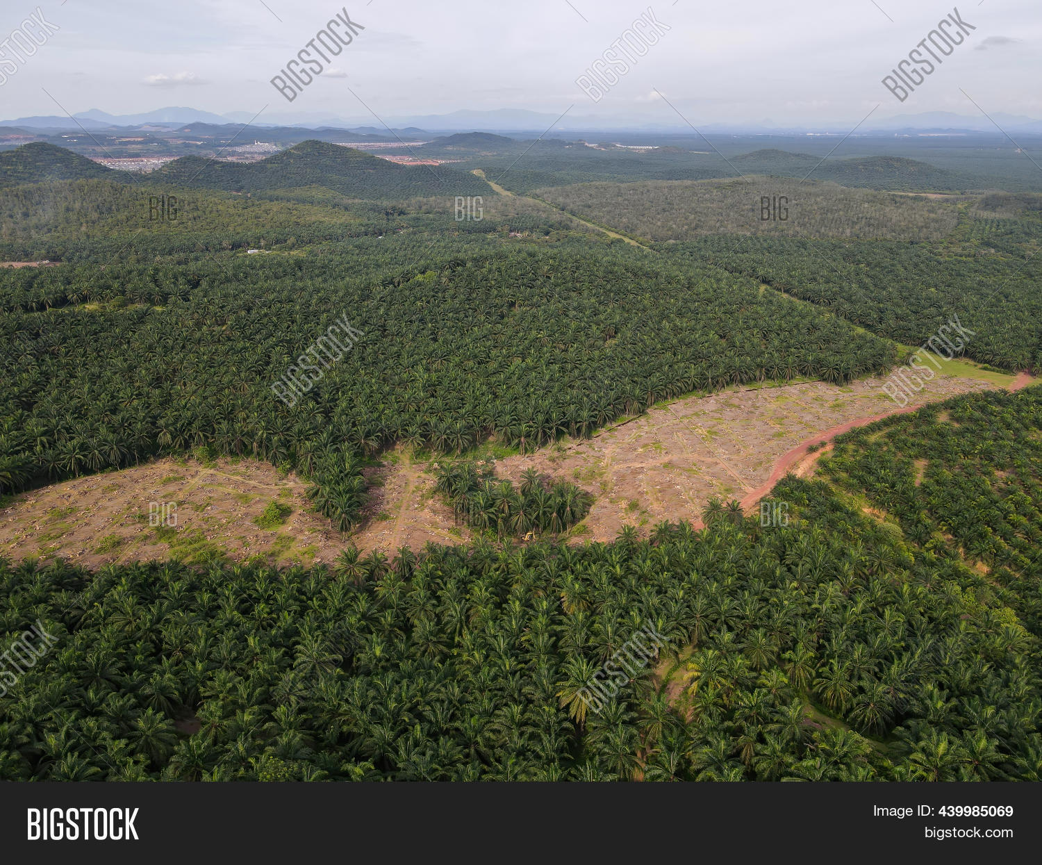 Aerial View Land Image & Photo (Free Trial) | Bigstock