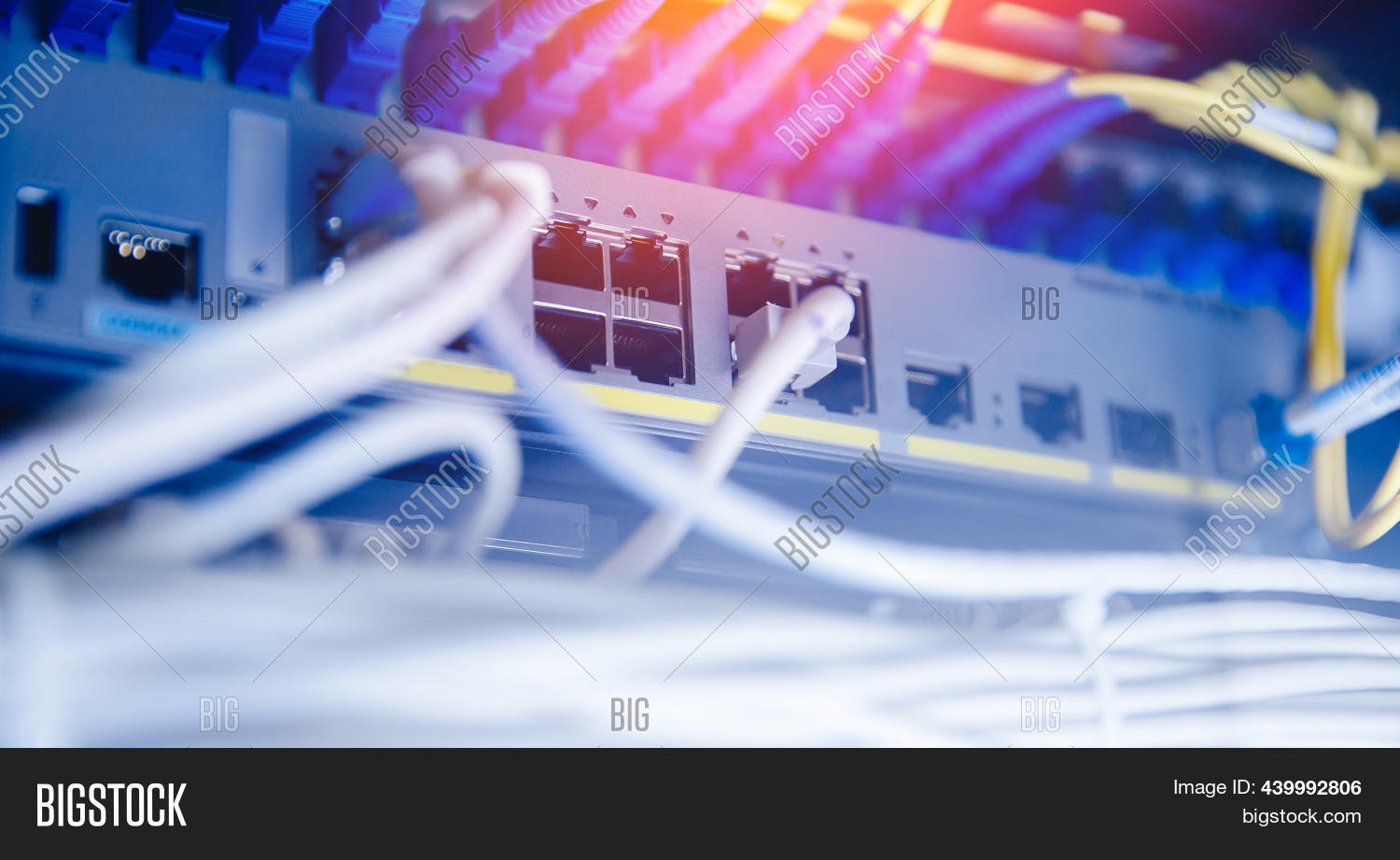 Business Network Panel Image & Photo (Free Trial) | Bigstock