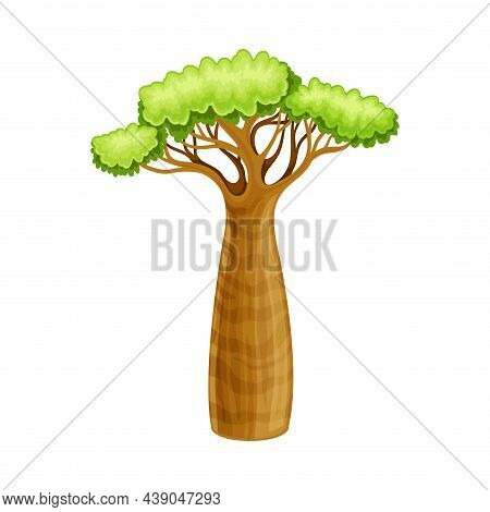 Baobab Tree Plant, Vector & Photo (Free Trial) | Bigstock