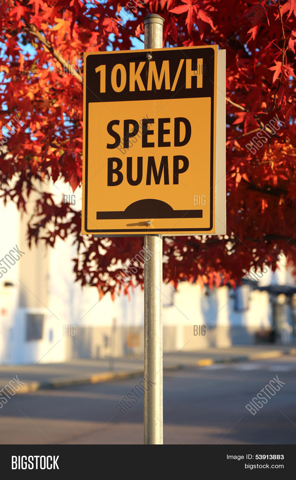 Speed Bump Road Sign Image & Photo (Free Trial) | Bigstock