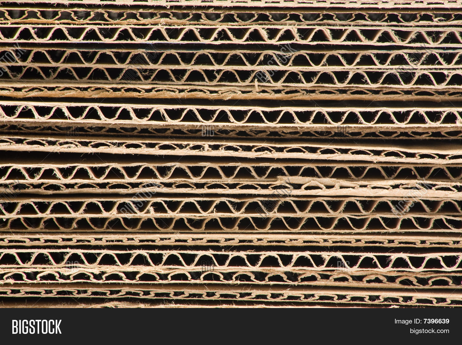 Recycled Carton Image & Photo (Free Trial) | Bigstock