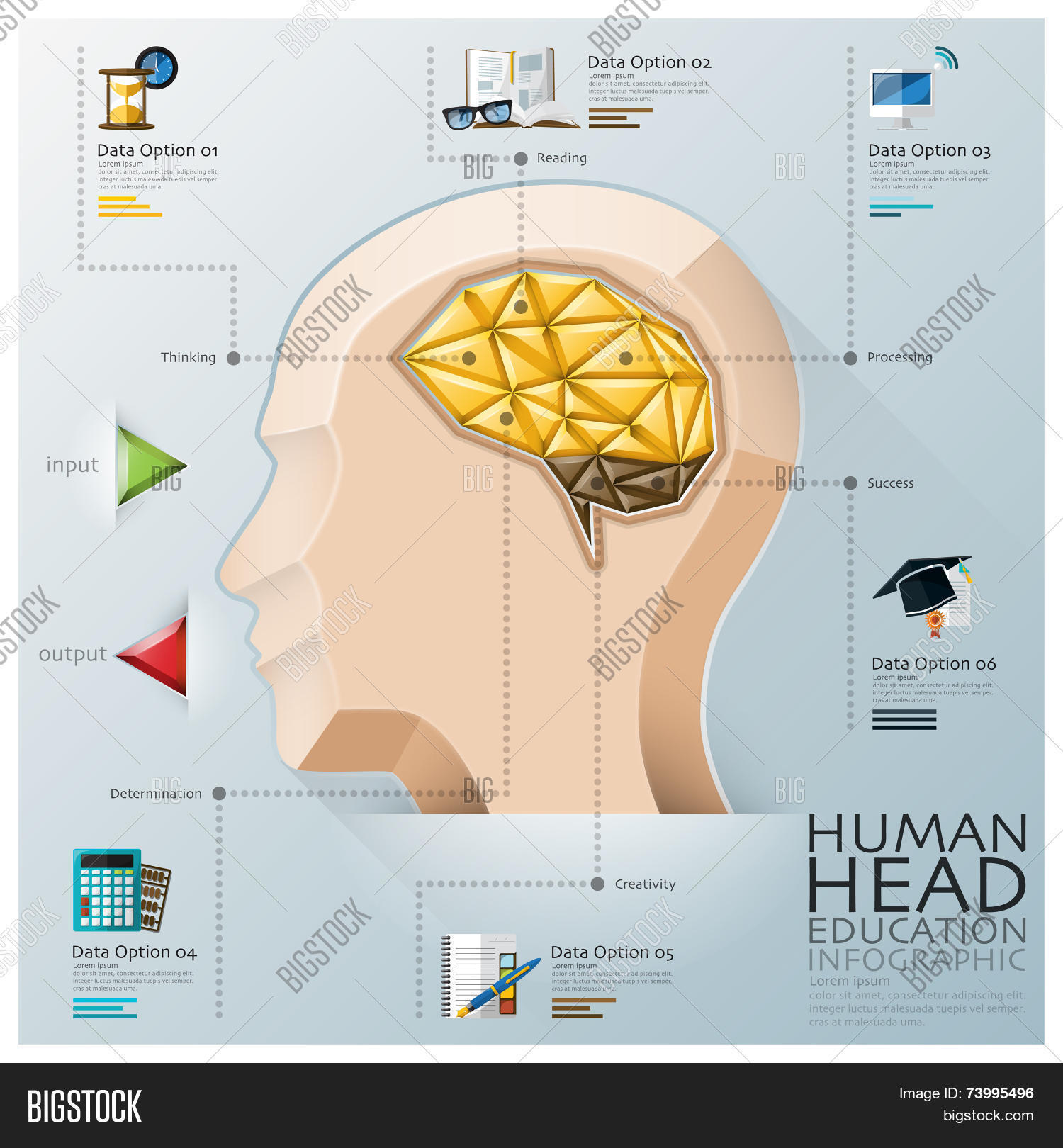 Human Head Brain Vector & Photo (Free Trial) | Bigstock