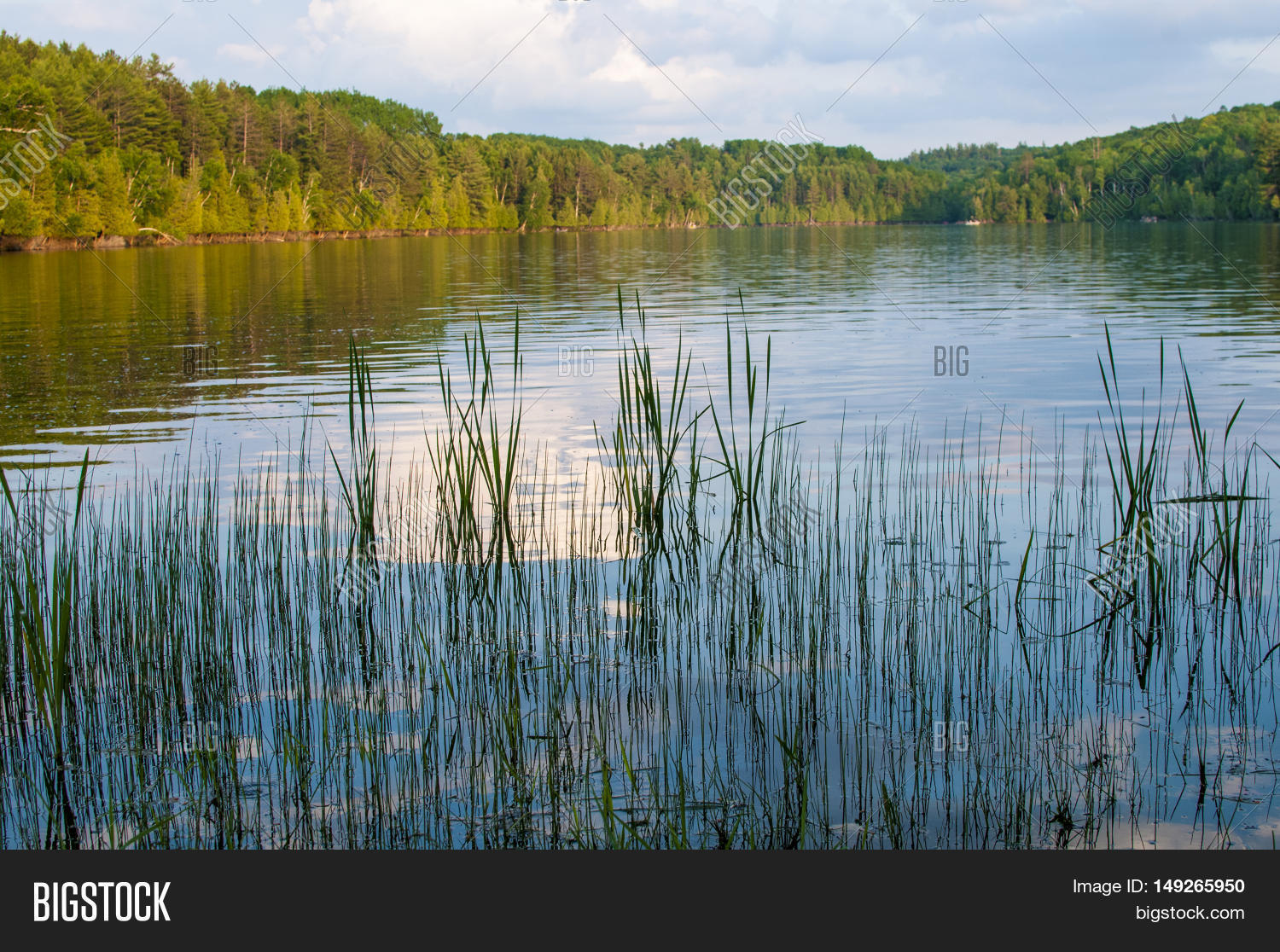 Lake Landscape Image & Photo (Free Trial) | Bigstock