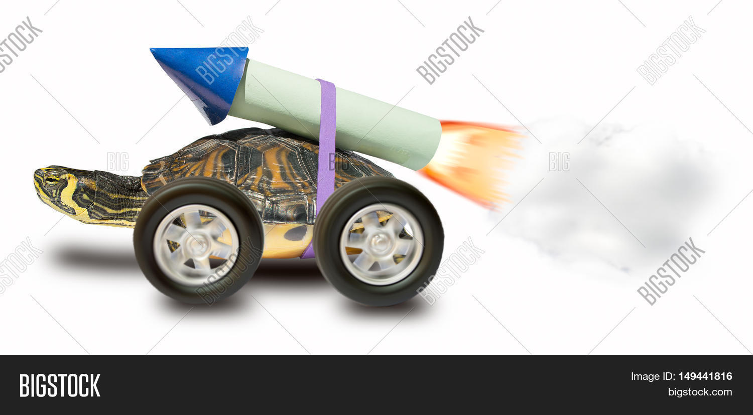 Turtle Rocket Image & Photo (Free Trial) | Bigstock