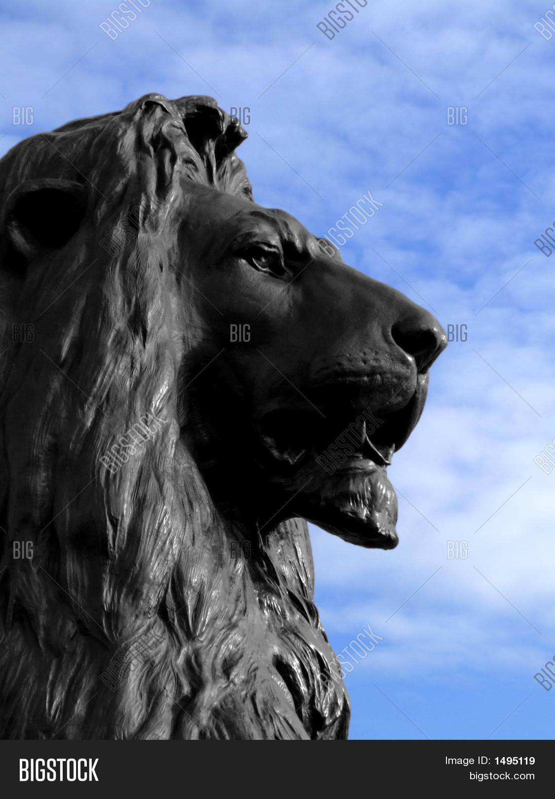 Lion Head Image & Photo (Free Trial) | Bigstock