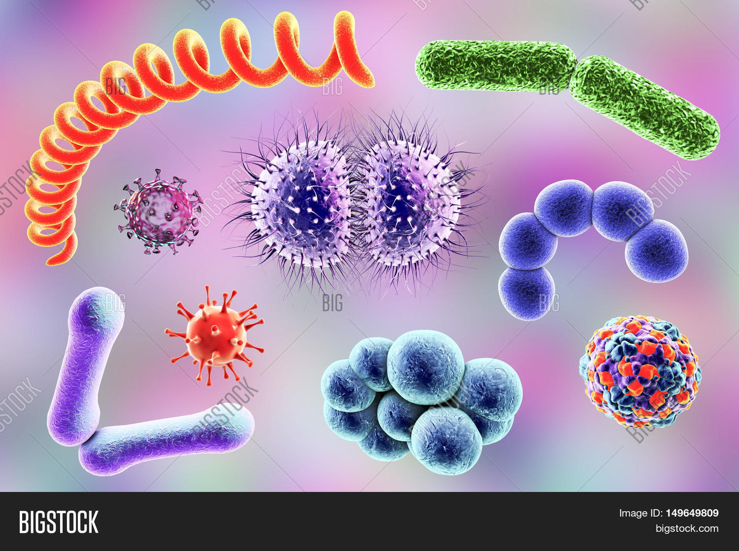 Microbes On Colorful Image & Photo (Free Trial) | Bigstock