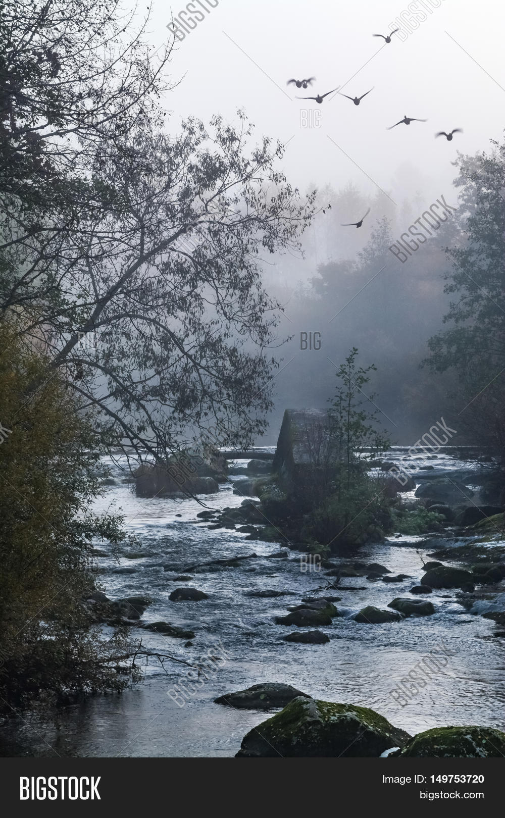 Misty River Landscape Image & Photo (Free Trial) | Bigstock