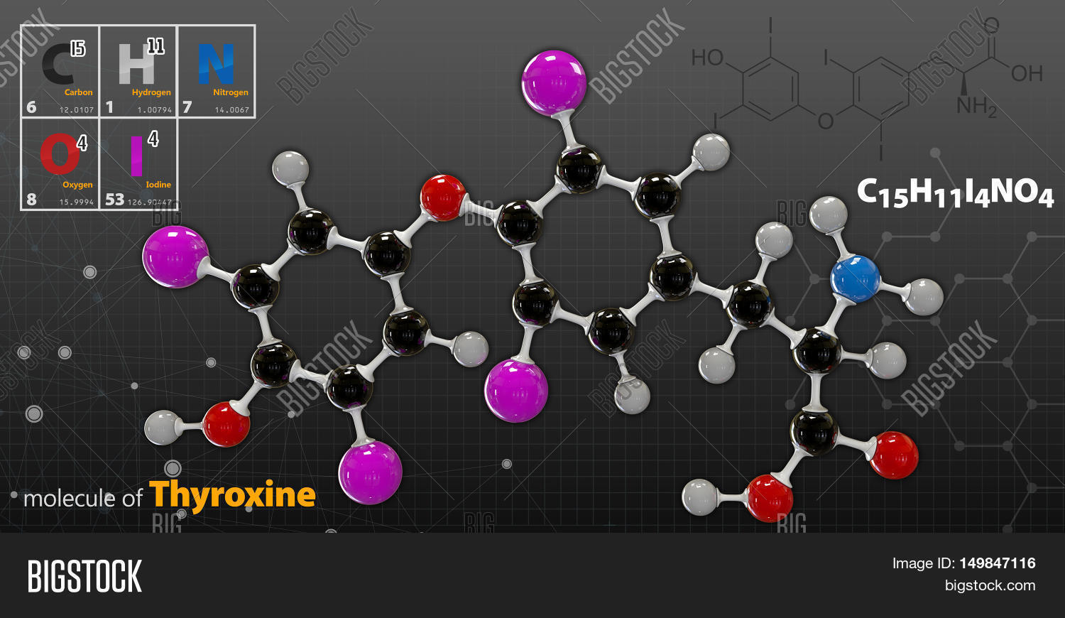 Illustration Thyroxine Image & Photo (Free Trial) | Bigstock