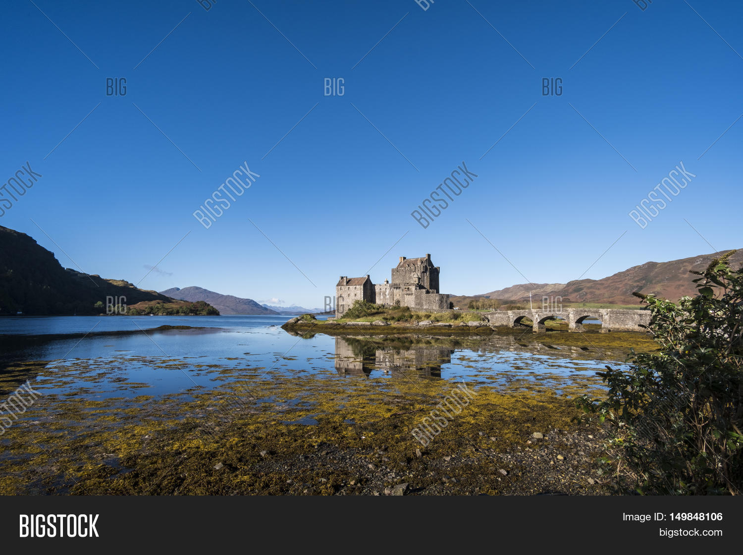 Typical Scottish Scene Image & Photo (Free Trial) | Bigstock