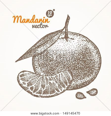 Mandarin Card Hand Vector & Photo (Free Trial) | Bigstock