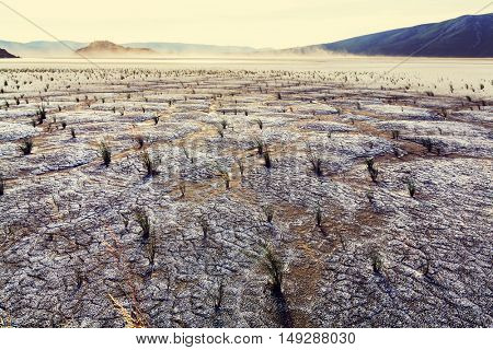 Drylands Desert Image & Photo (Free Trial) | Bigstock