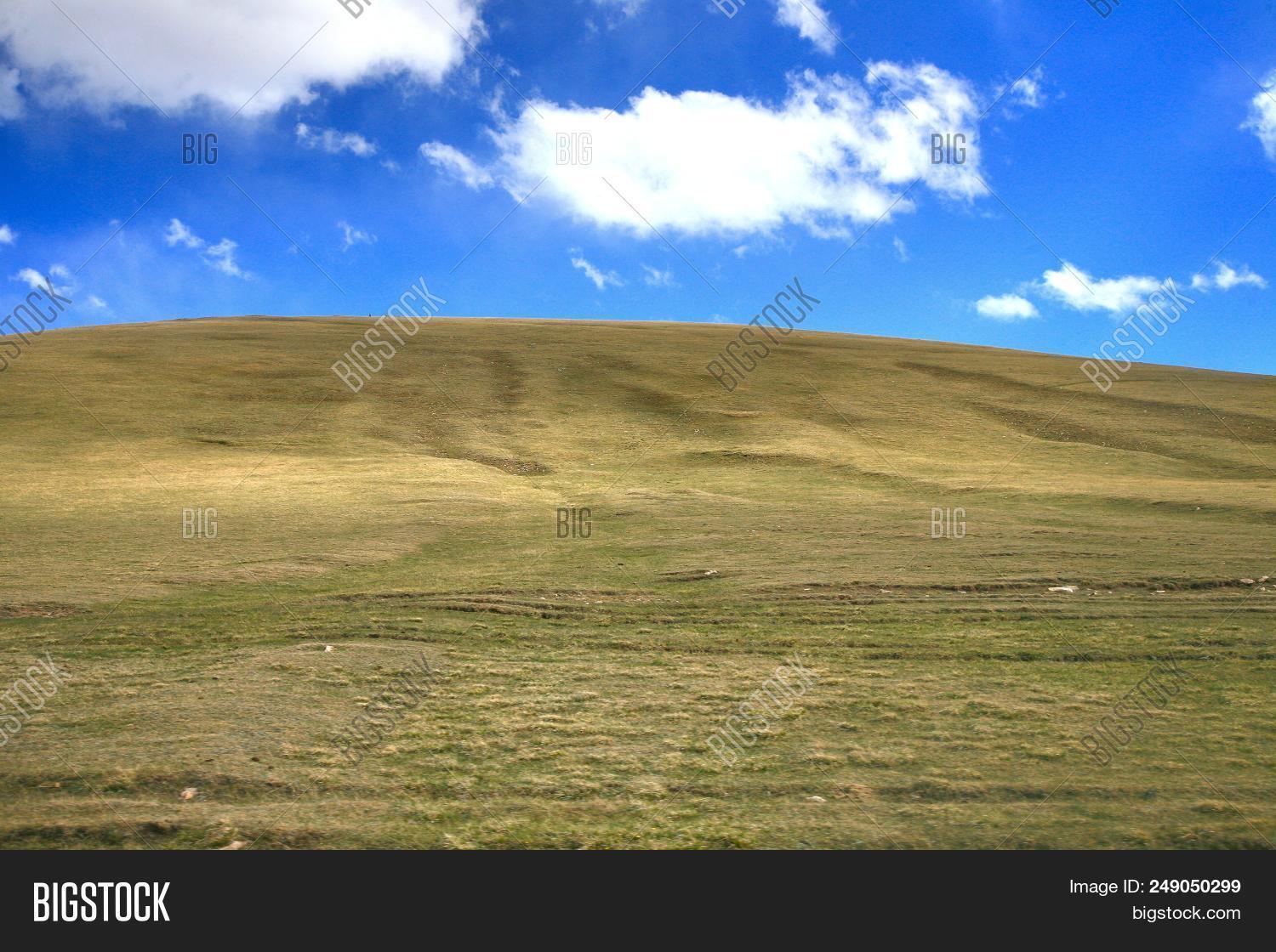 Large Meadow Blue Sky Image & Photo (Free Trial) | Bigstock