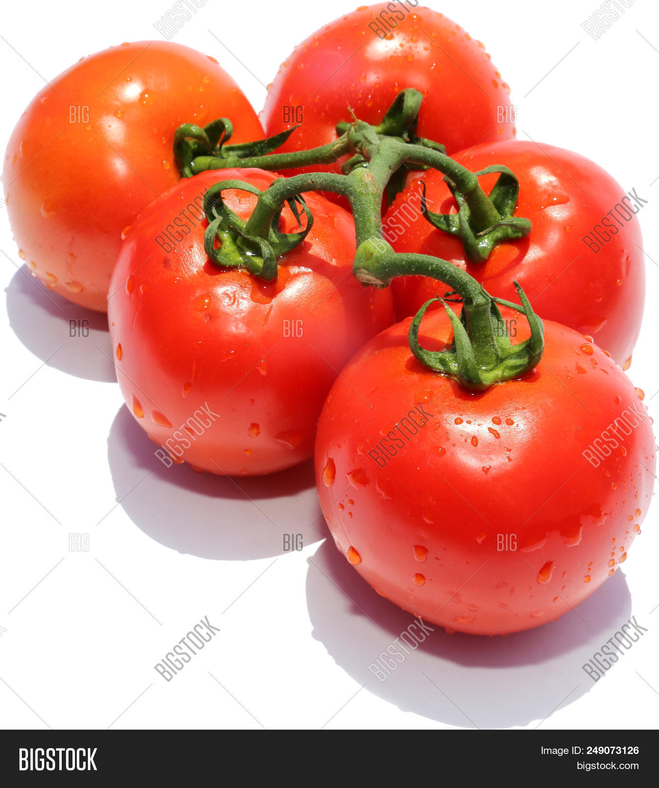 Tomato. Fresh Vine Image & Photo (Free Trial) | Bigstock