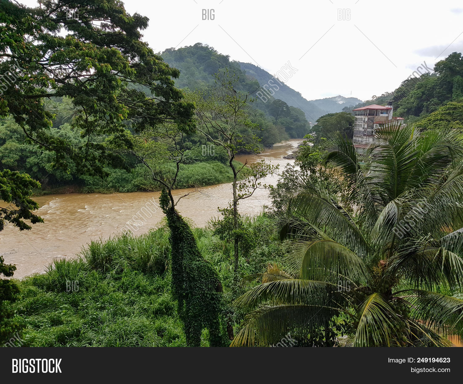 View River Mahaweli Image & Photo (Free Trial) | Bigstock