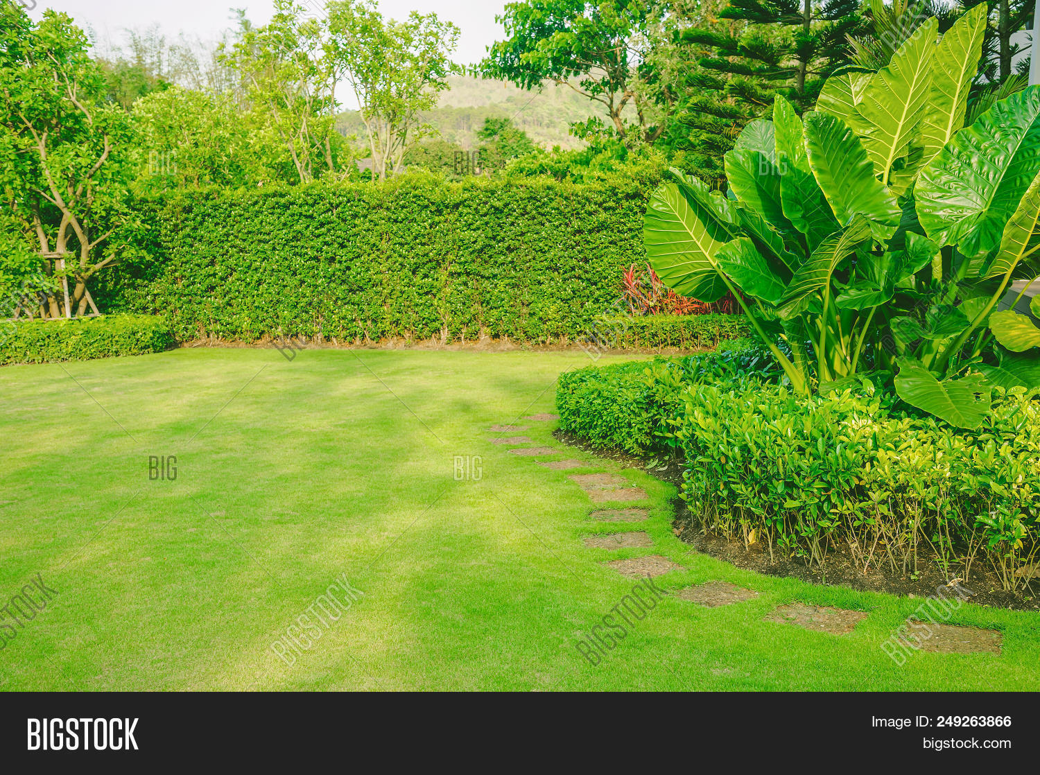 Landscape Formal, Image & Photo (Free Trial) | Bigstock