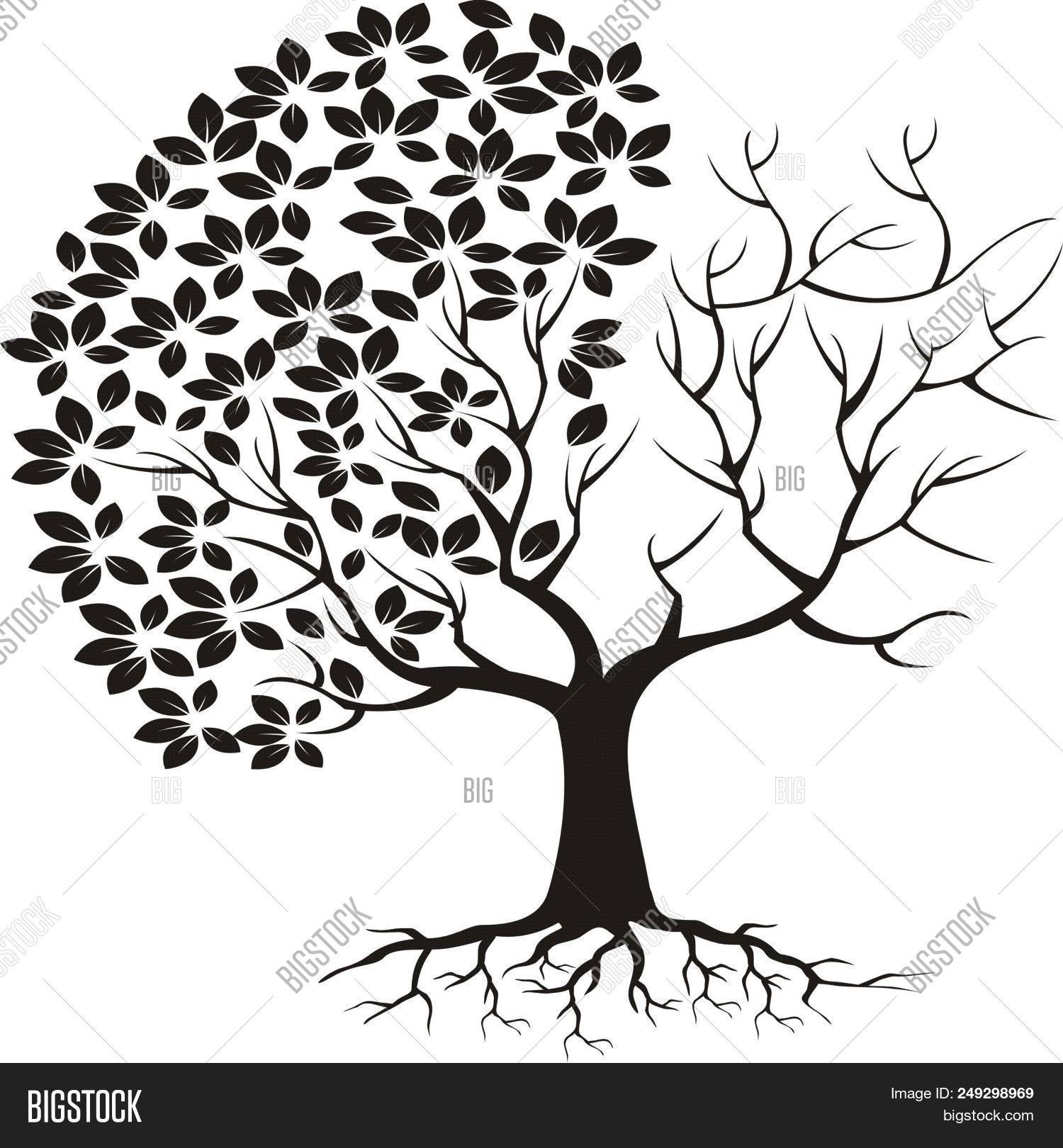 Silhouette Half Dry Image & Photo (Free Trial) | Bigstock