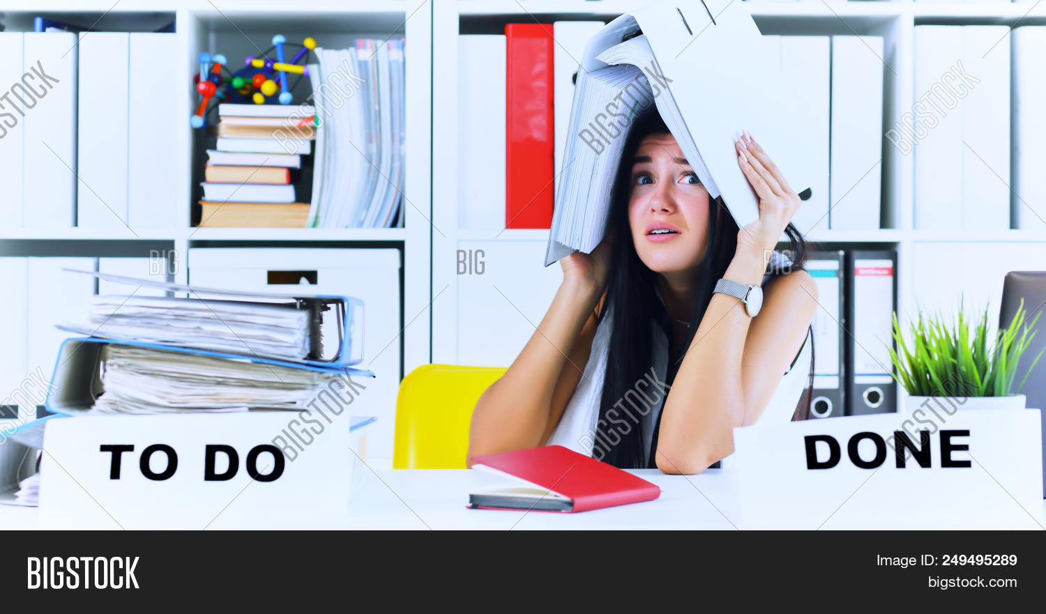Funny Overworked Girl Image & Photo (Free Trial) | Bigstock