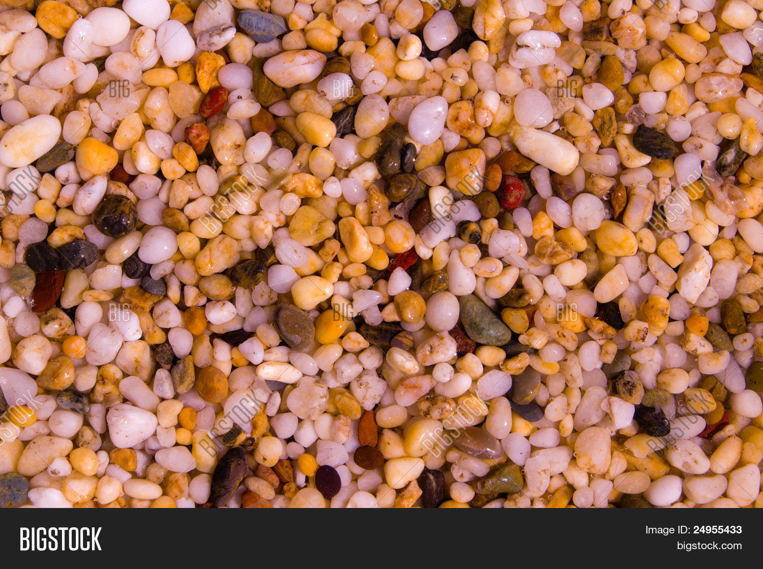 Pebbles Water Image & Photo (Free Trial) | Bigstock