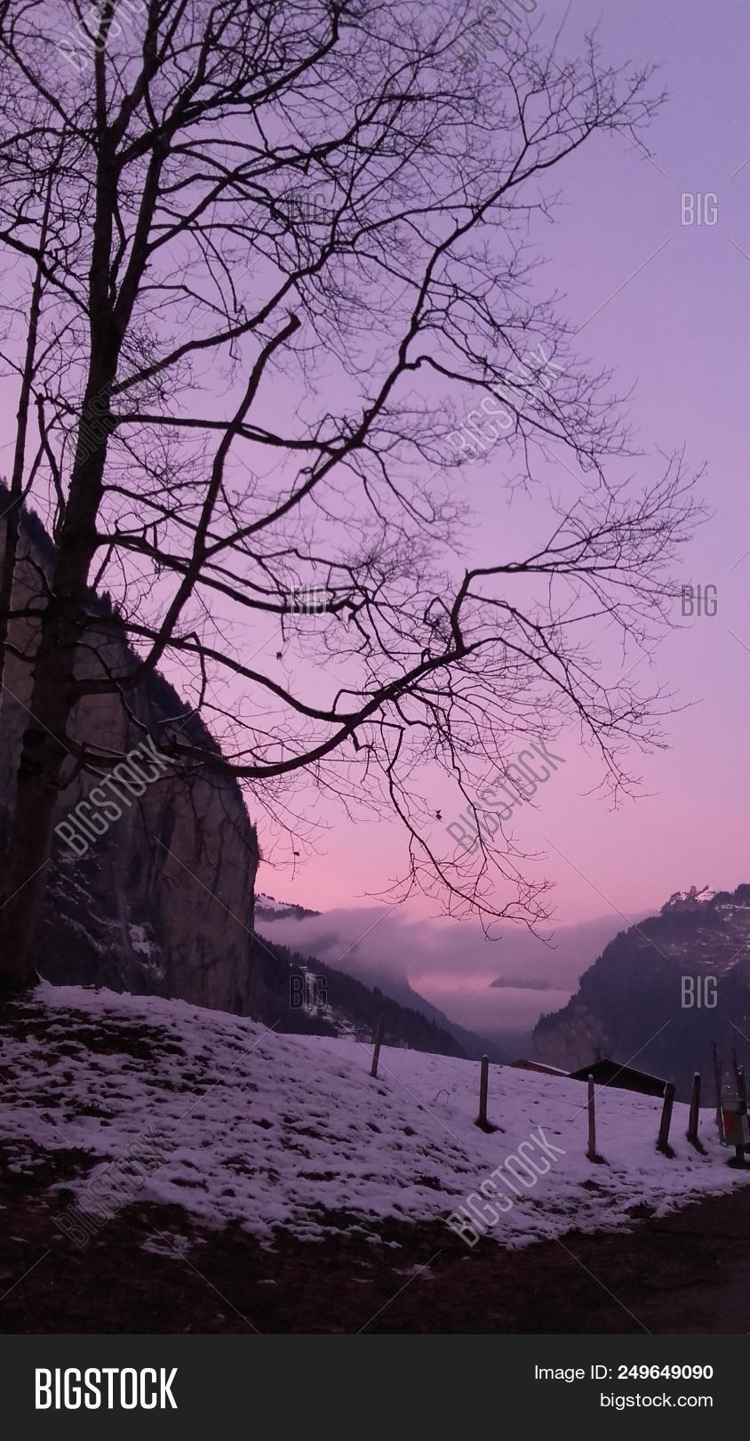 Pink Sunset Winter Image & Photo (Free Trial) | Bigstock