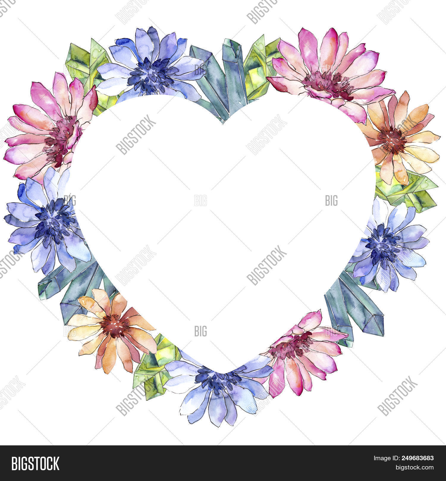 Colorful African Daisy Image & Photo (Free Trial) | Bigstock
