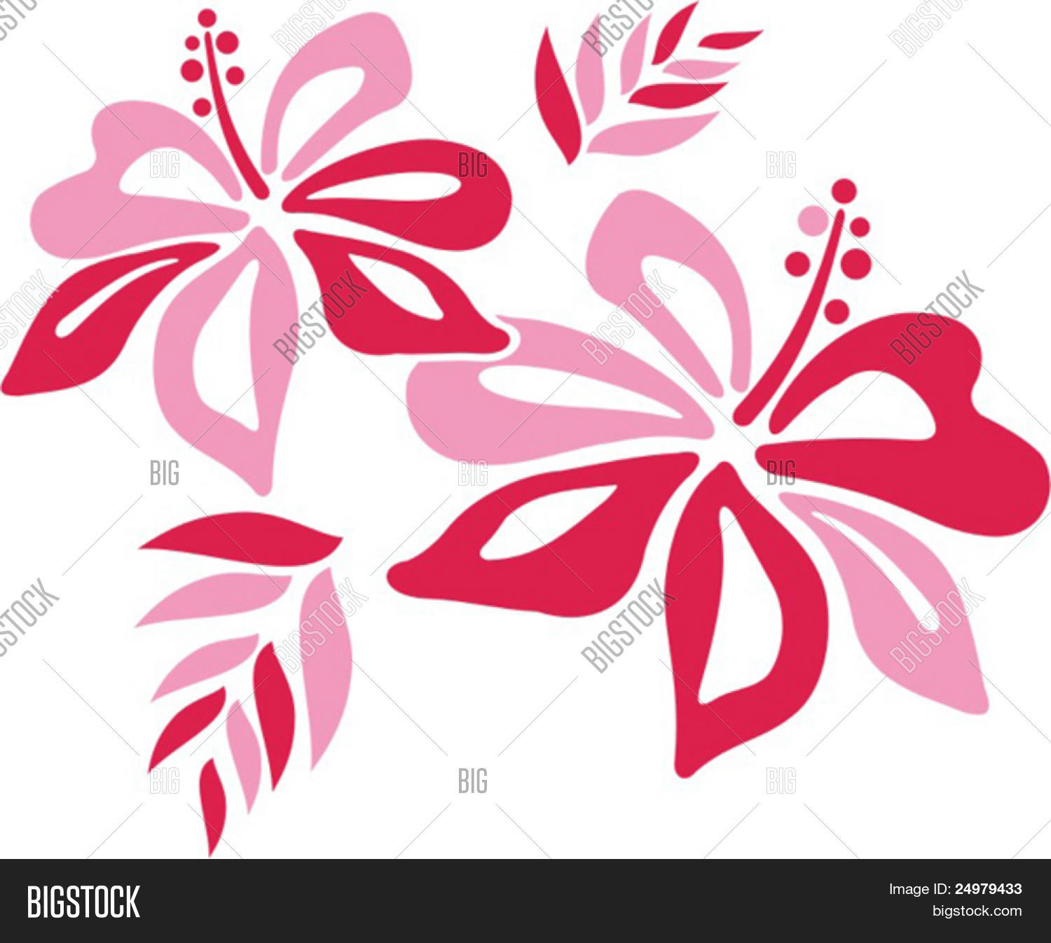 Pink Hibiscus Vector & Photo (Free Trial) | Bigstock