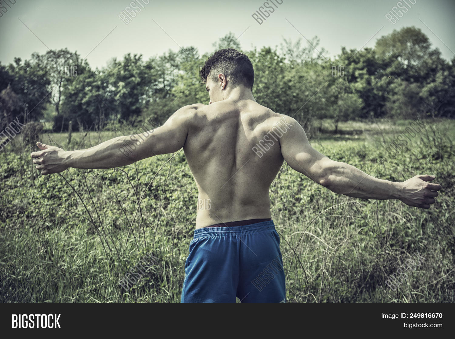 Back Handsome Muscular Image & Photo (Free Trial) | Bigstock