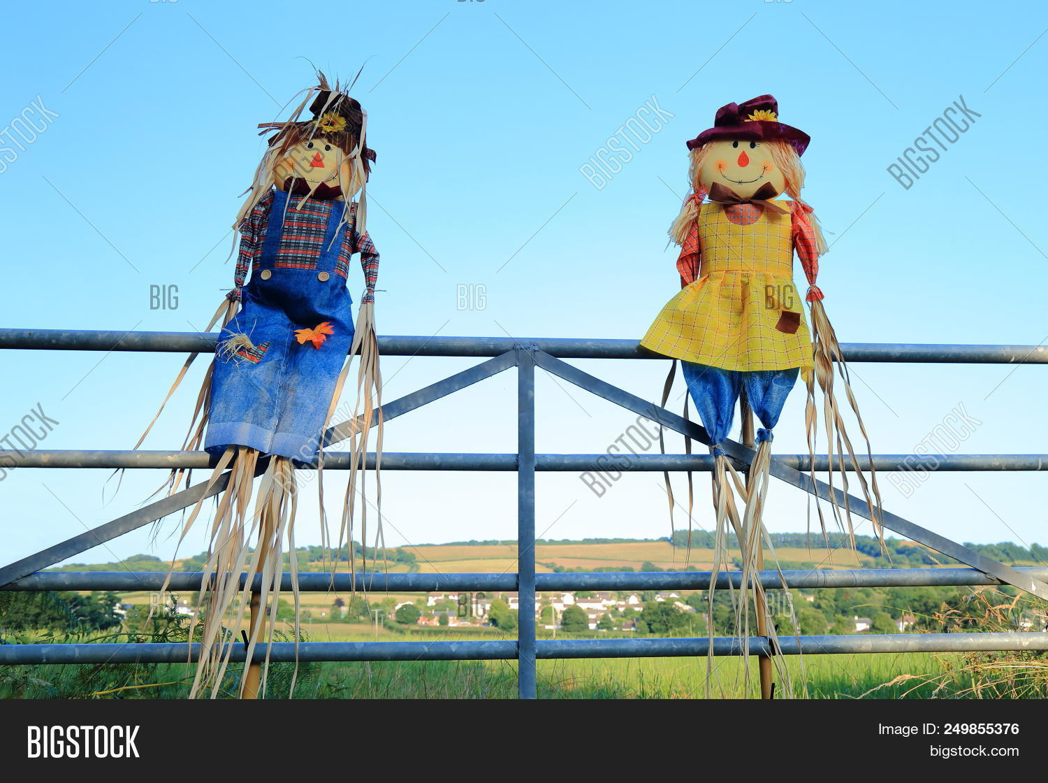 Cute Straw Filled Boy Image & Photo (Free Trial) | Bigstock