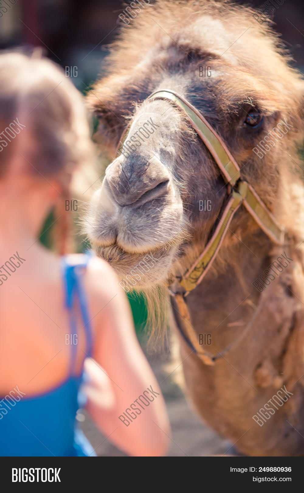 Adorable Little Girl Image & Photo (Free Trial) | Bigstock
