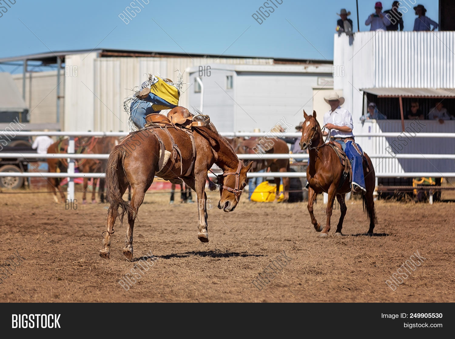 Cowboy Riding Bucking Image & Photo (Free Trial) | Bigstock