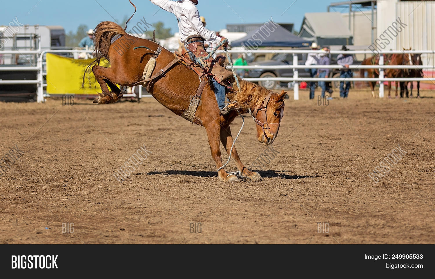 Cowboy Riding Bucking Image & Photo (Free Trial) | Bigstock