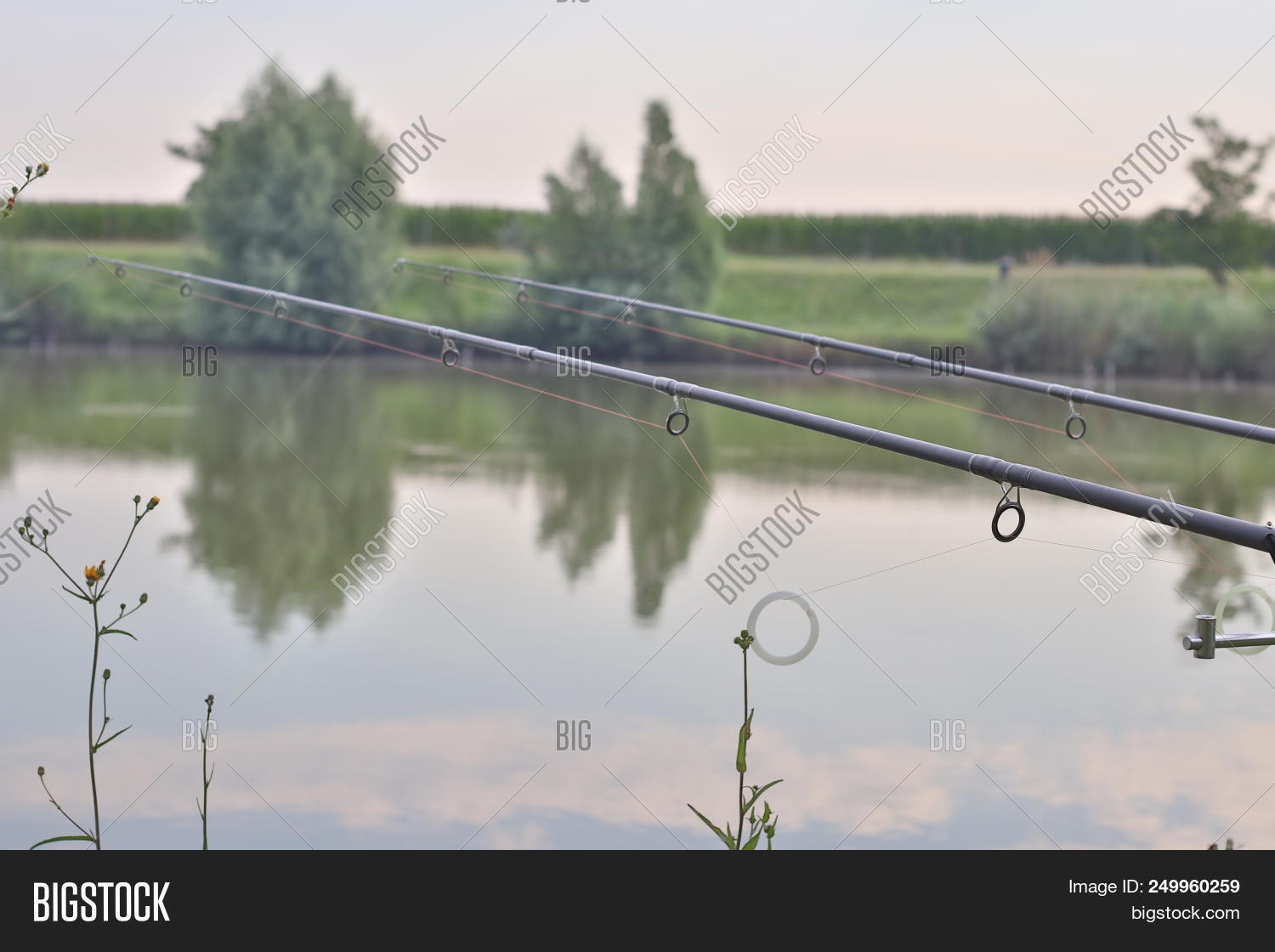 Fishing Rods On Lake Image & Photo (Free Trial) | Bigstock