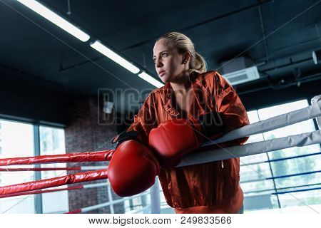 Blue-eyed Boxer. Blue- Image & Photo (Free Trial) | Bigstock
