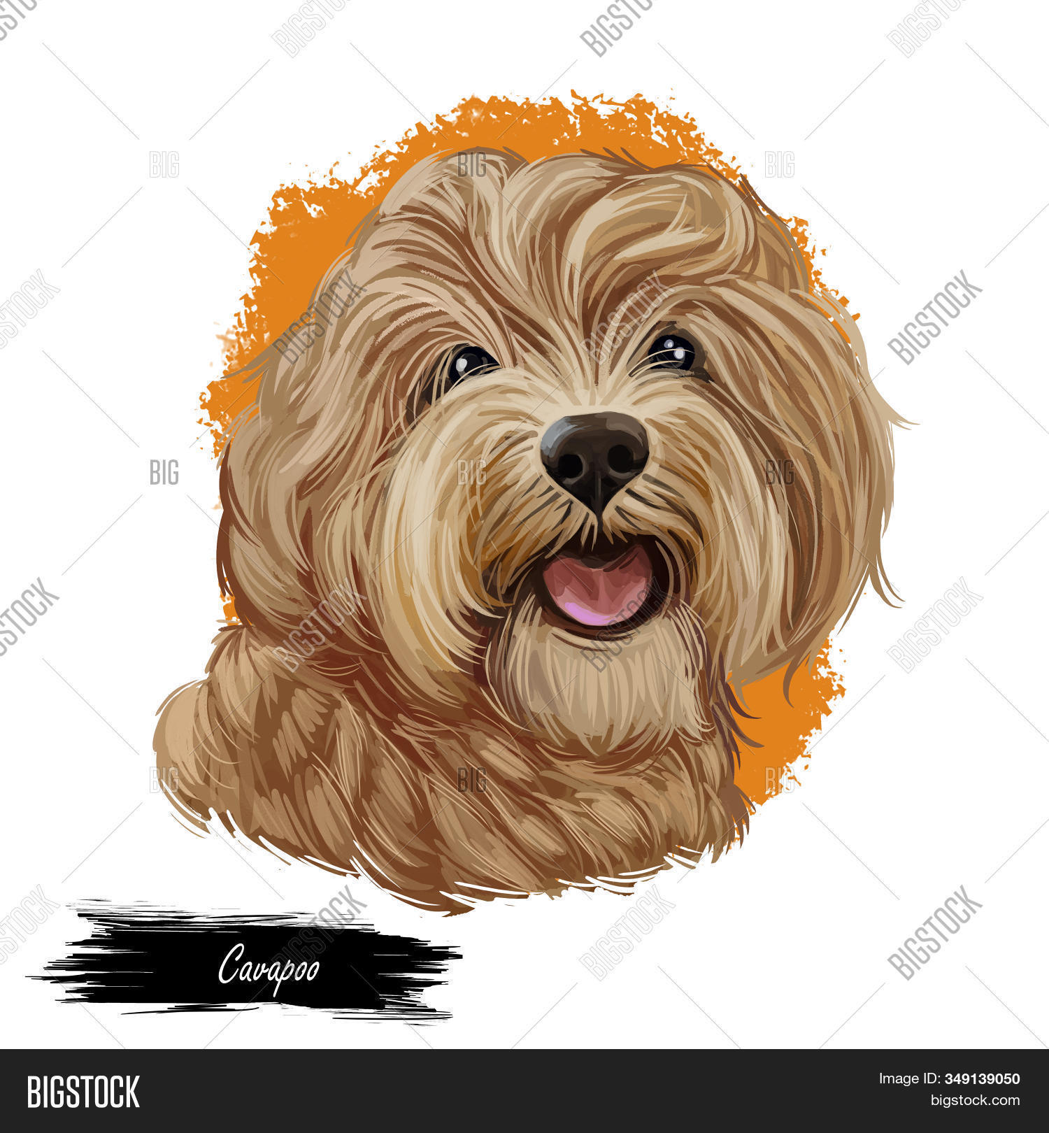 Cavapoo Digital Art Image & Photo (Free Trial) | Bigstock