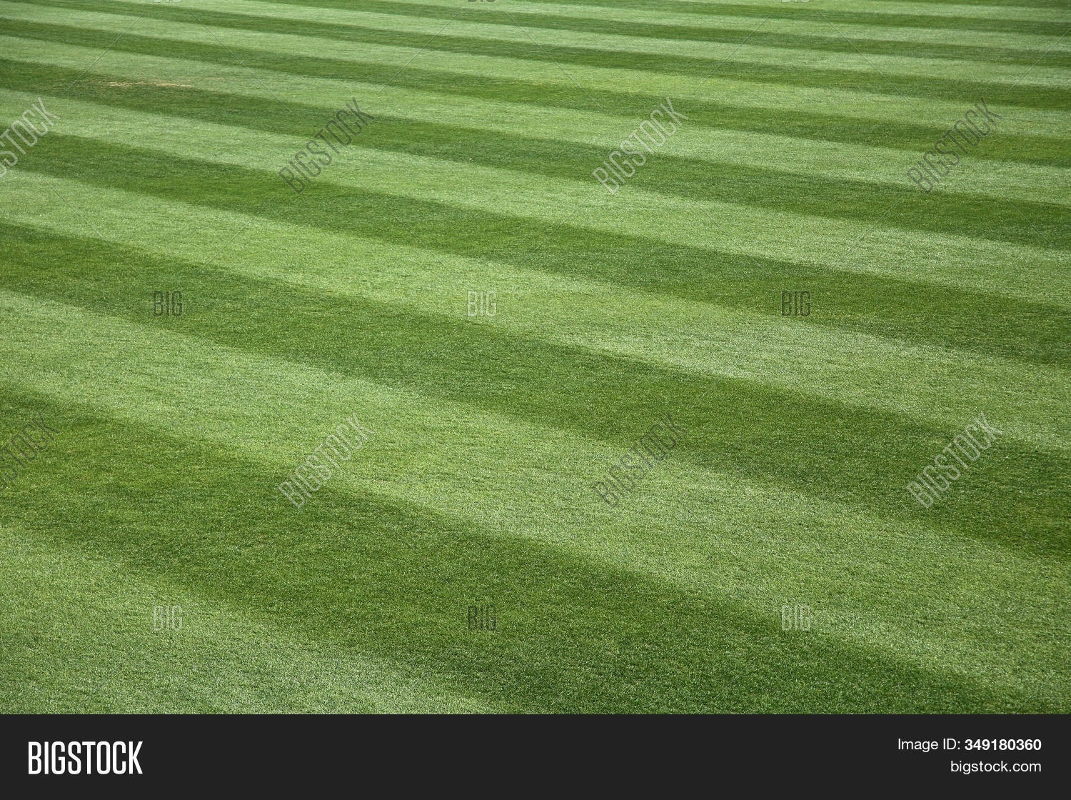 Green Stripe Image & Photo (Free Trial) | Bigstock